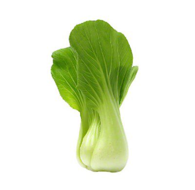 Boc Choy (Mature) — Heirloom Farms
