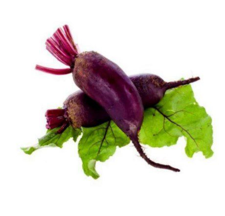 Cylindra Beetroot — Heirloom Farms