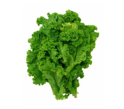 Mustard Curly — Heirloom Farms