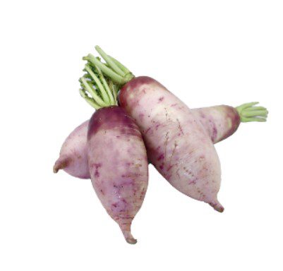 Radish (purple) — Heirloom Farms