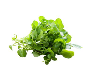 Watercress